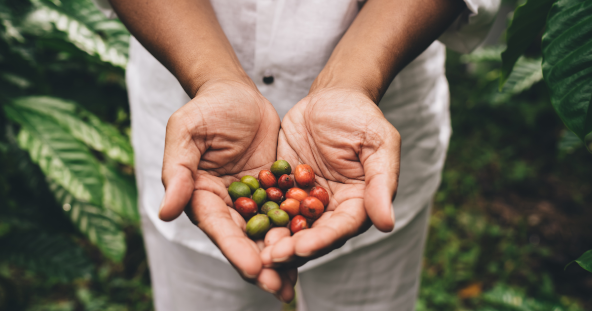 Vietnamese Specialty Coffee | Explore its rich world